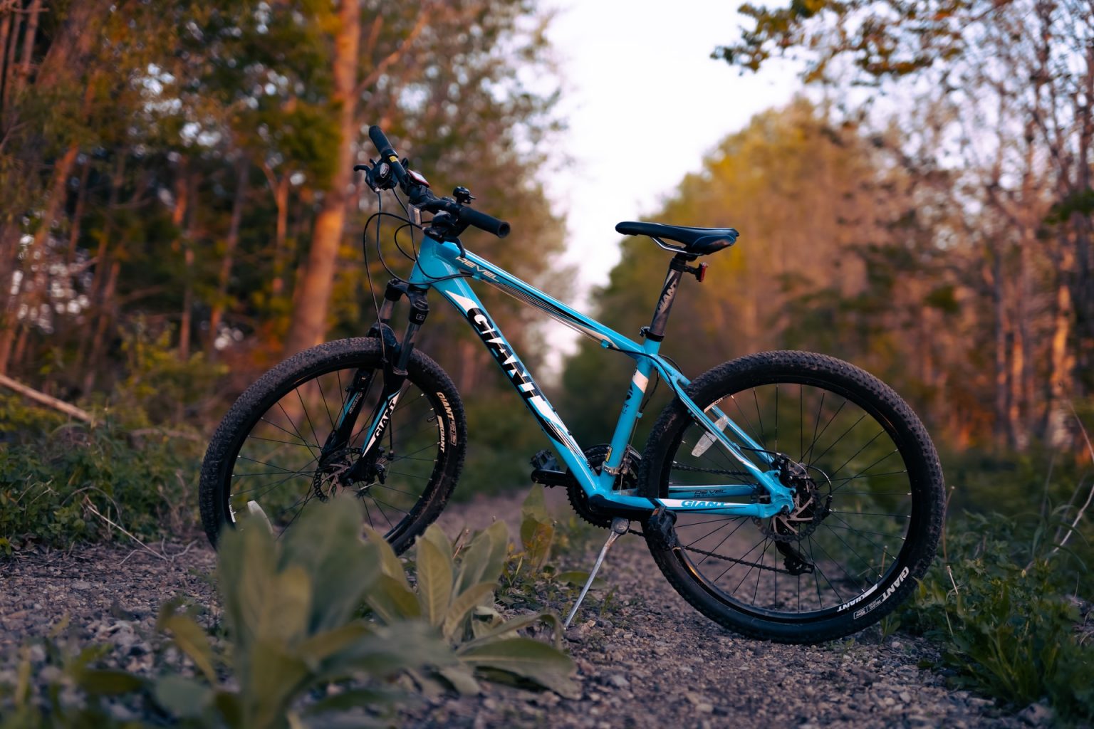 7 points essentiels pour bien choisir son vélo hybride